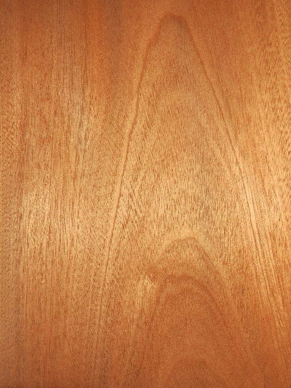 פורניר עץ | מחסן עצים עץ איתן מקבוצת אברבוך